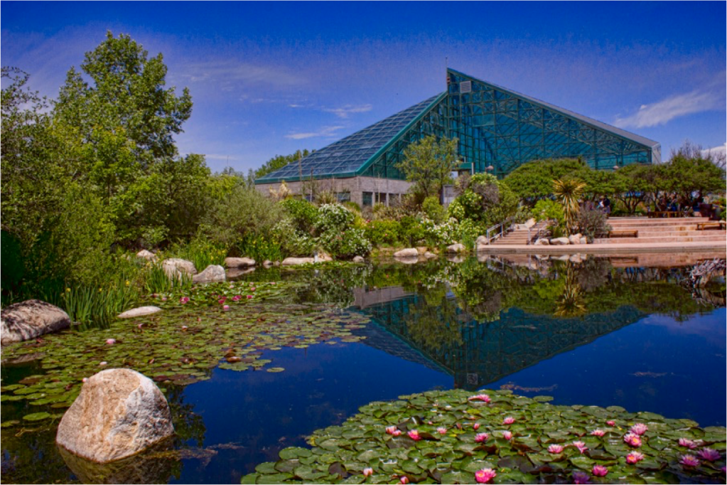Architectural Feature: ABQ BioPark Botanic Garden Conservatory – New ...